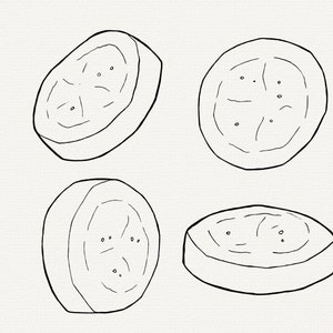 Zucchini SVG Bundle, Illustration for Commercial Use, Cut File for ...