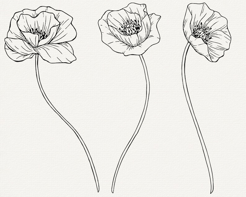 Poppy Line Art SVG: Floral Outline Vector Clip Art (commercial Use) - Etsy