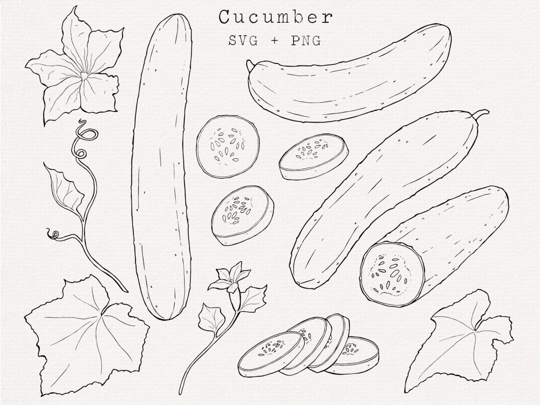 Cucumber SVG Bundle, Illustration for Commercial Use, Cut File for ...