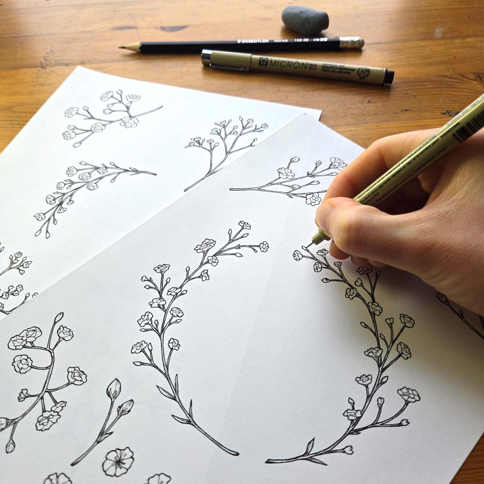 Baby's Breath Flower PNG Clipart, Botanical Line Art (digital Download ...