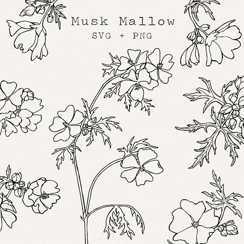 LaRoseArtStudios - Etsy