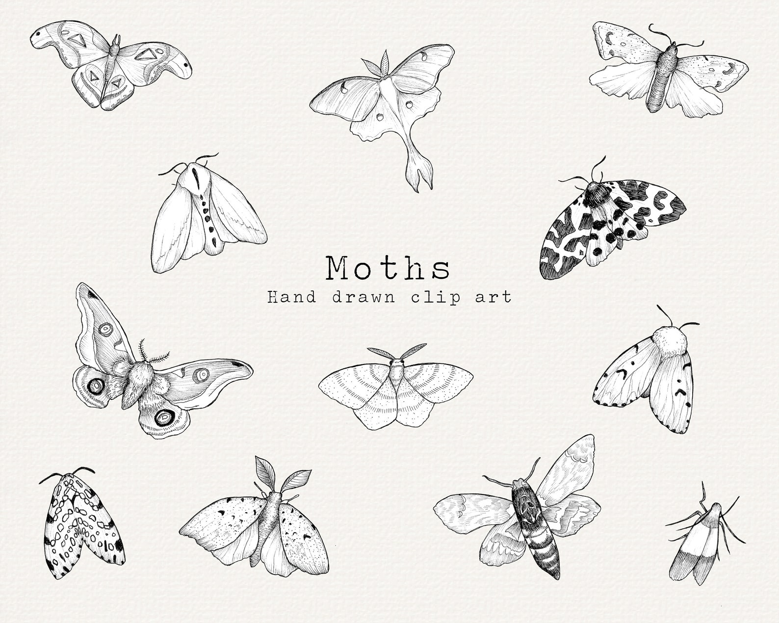 Moth Clipart Hand Drawn Moth Line Art Insect Clipart Magic | Etsy