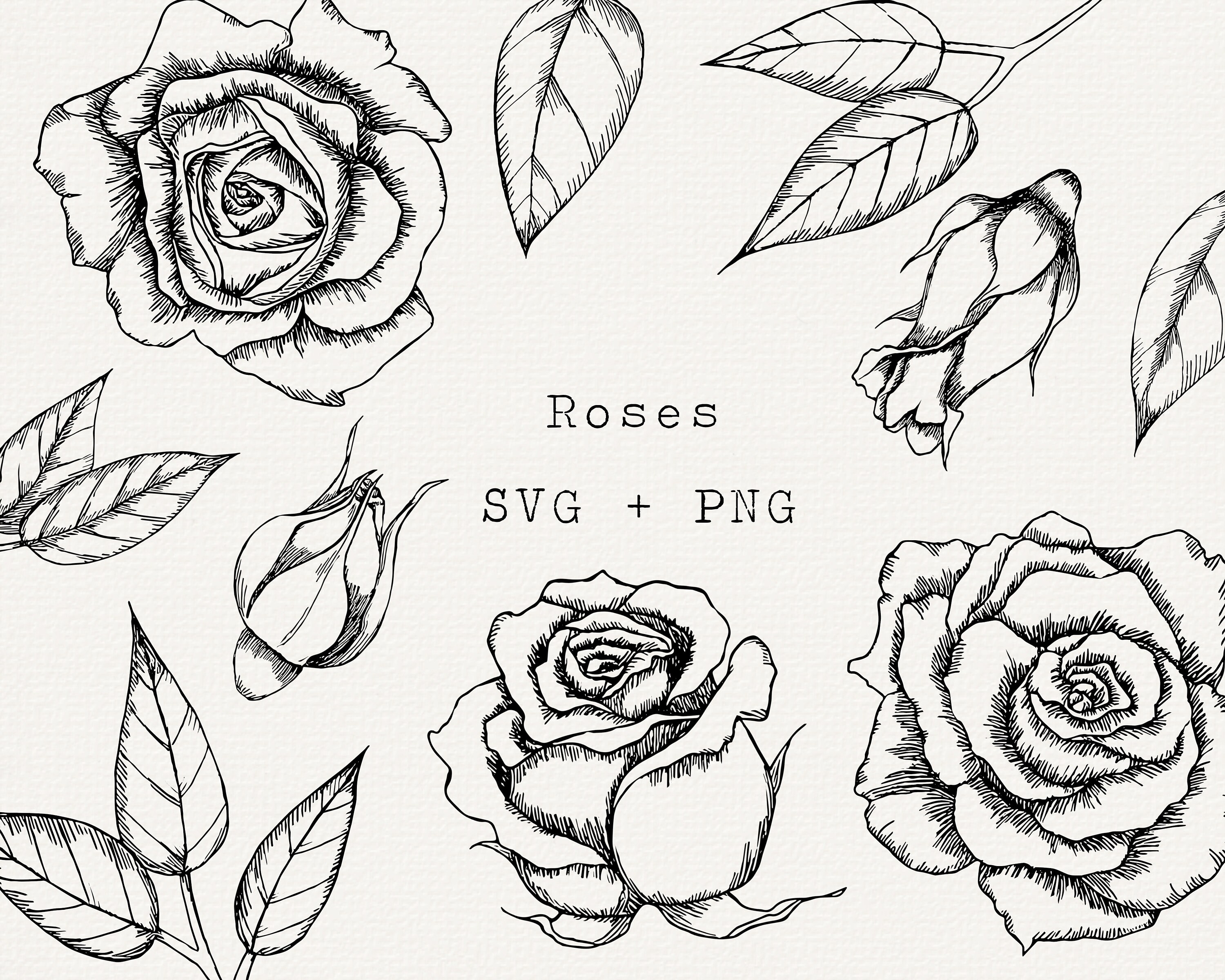 Rose SVG Rose Vector Graphics Hand Drawn Roses Floral - Etsy Canada