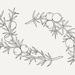Juniper SVG, Juniper Sprig Clip Art, Juniper Berries Line Art, Cricut ...