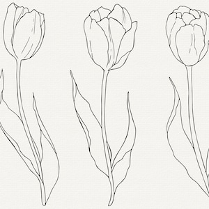 Tulip SVG, Tulips Line Art Clip Art, Flower Line Drawing Vector, Simple ...