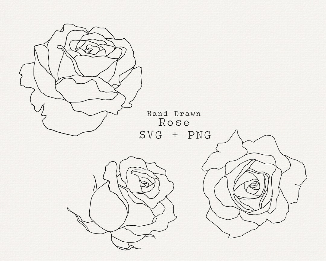 Rose Line Art SVG, Botanical SVG, Floral Svg, Floral Line Art Clip Art ...