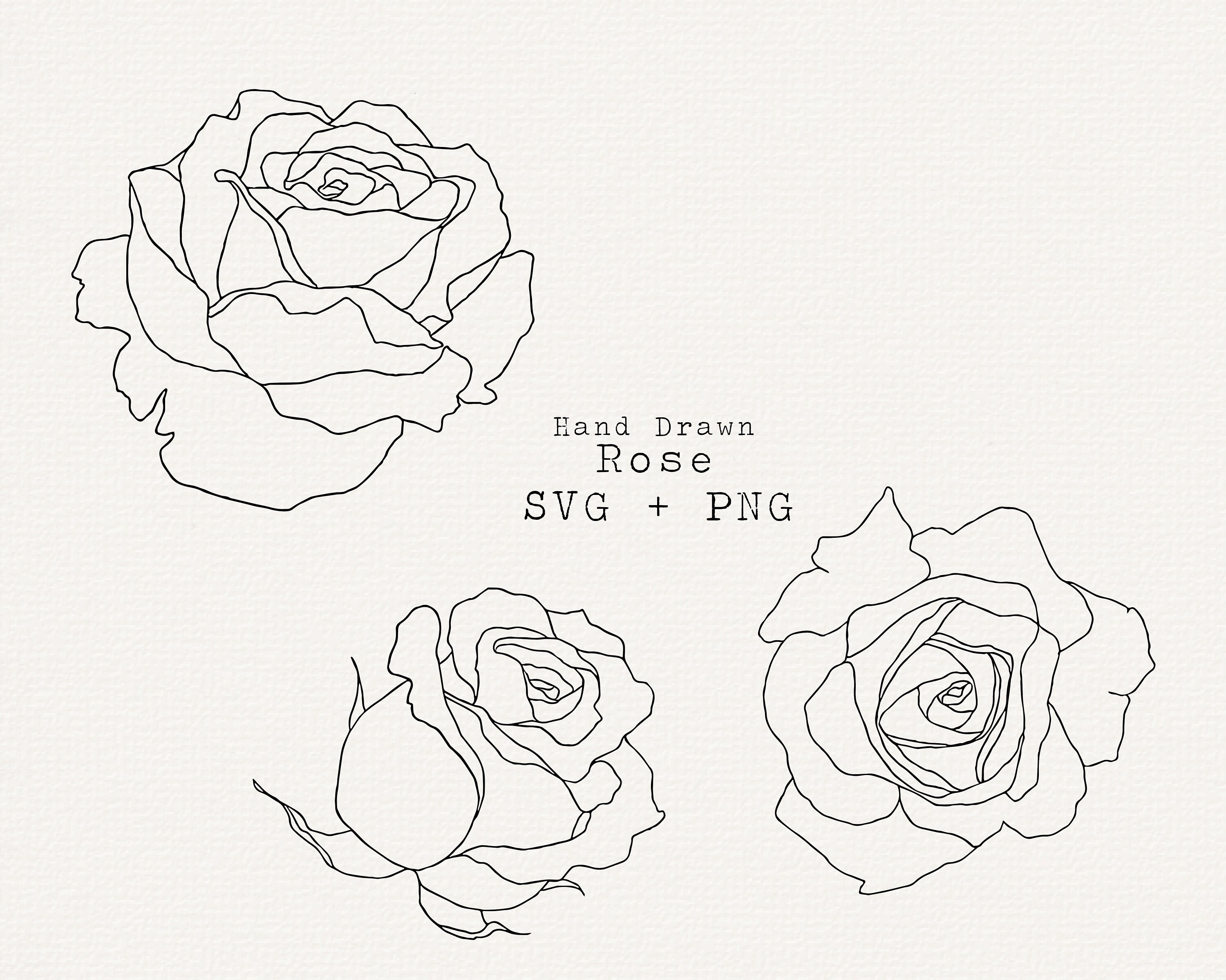 Rose Line Art SVG Botanical SVG Floral Svg Floral Line Art - Etsy