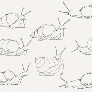 Snail Line Art SVG PNG, Clipart Vector Illustration Outline Drawing ...