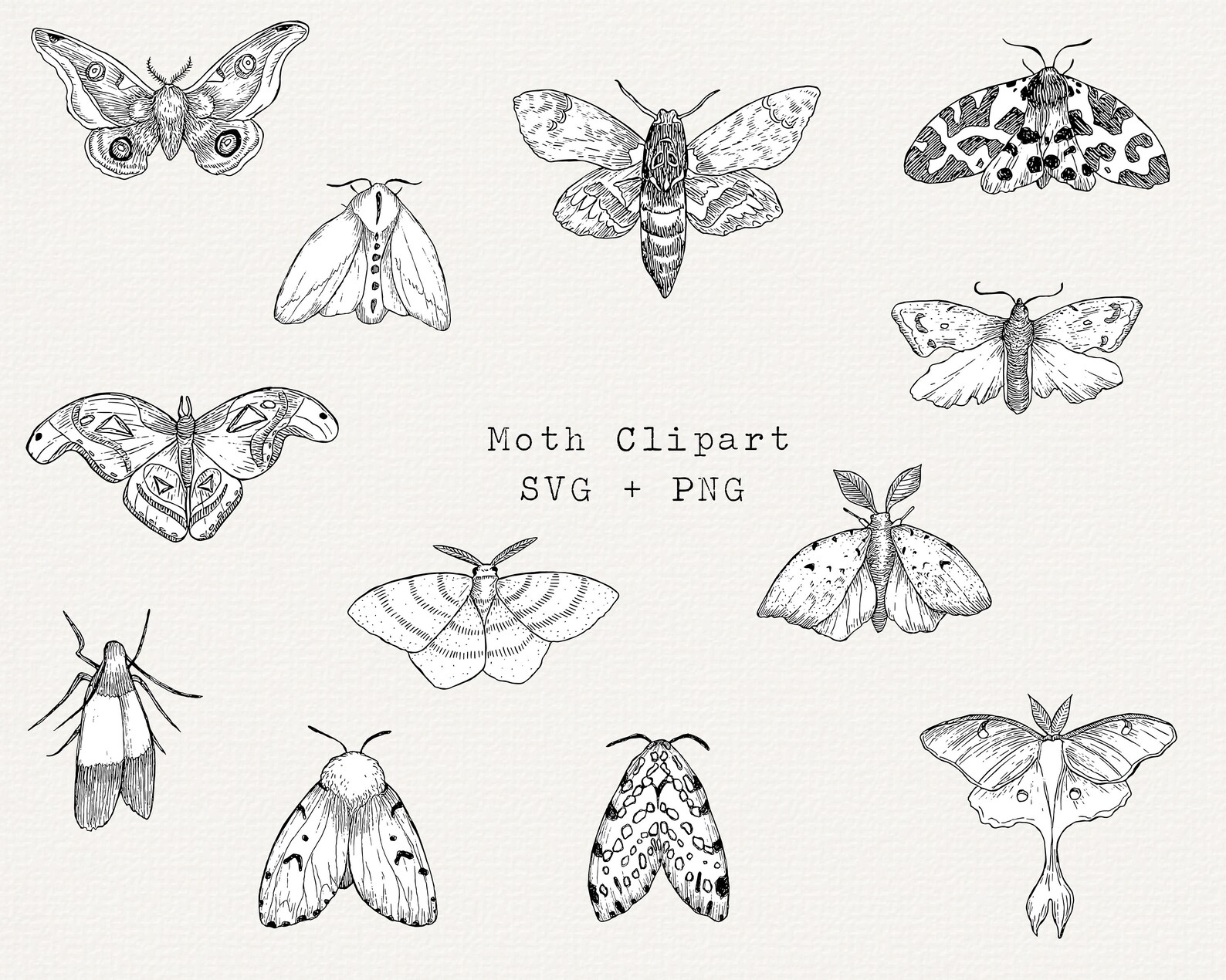 Moth SVG, Moths Clipart, Moth SVG Bundle, Moth Line Drawing, Cut File ...