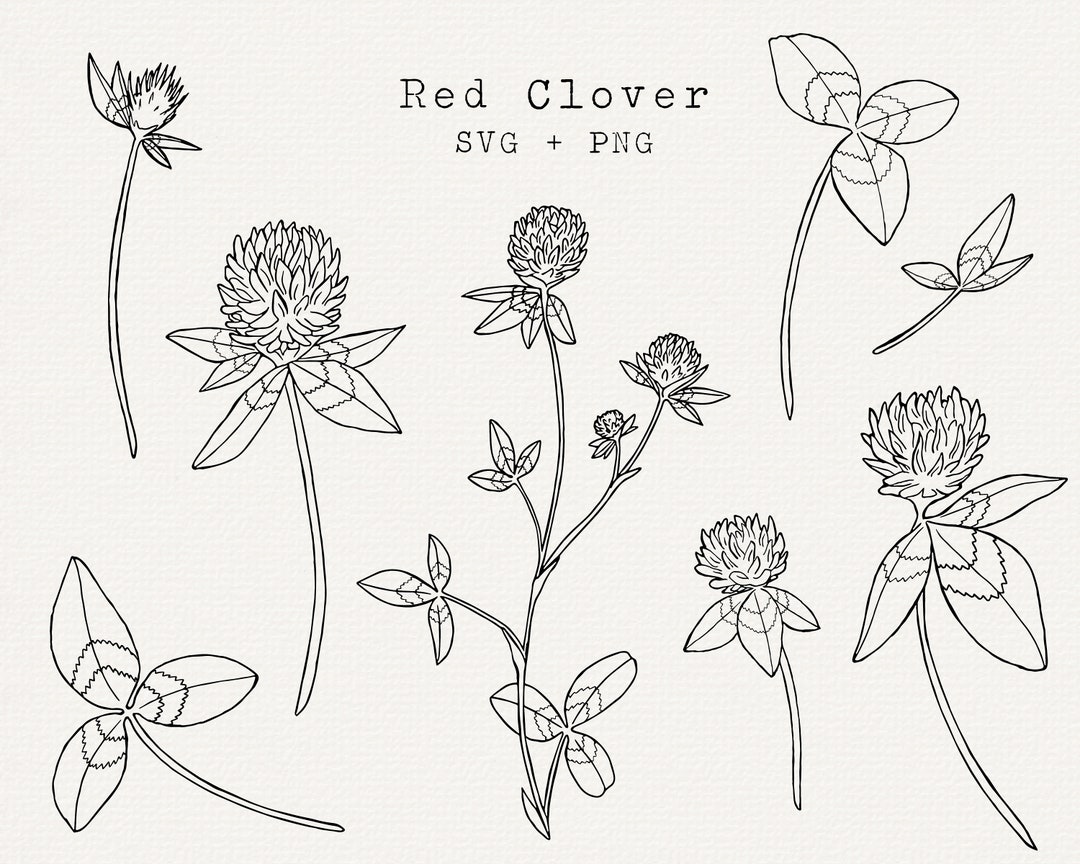 Clover SVG, Red Cover Clip Art, Cover Leaf Illustration, Shamrock Line ...