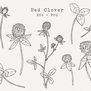 Clover SVG, Red Cover Clip Art, Cover Leaf Illustration, Shamrock Line ...