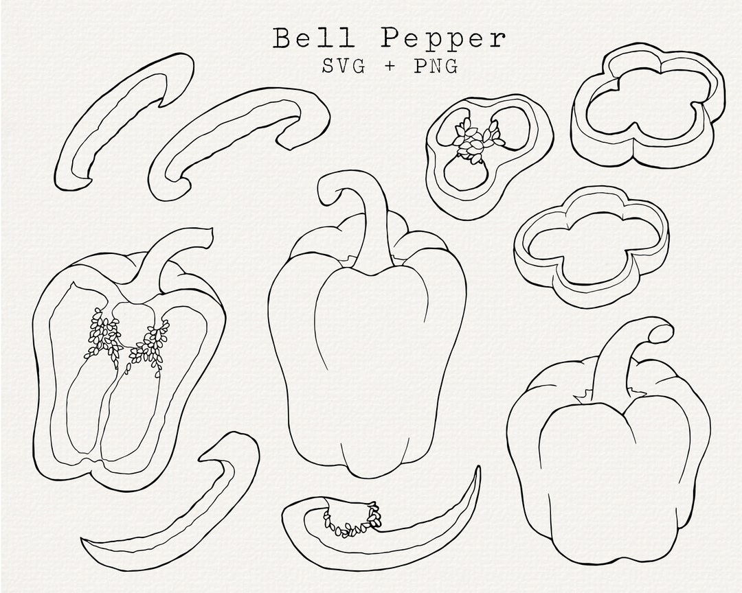 Bell Pepper SVG, Illustration for Commercial Use, Cut File for Cricut ...