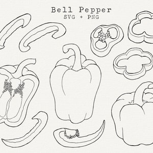 Bell Pepper SVG, Illustration for Commercial Use, Cut File for Cricut ...