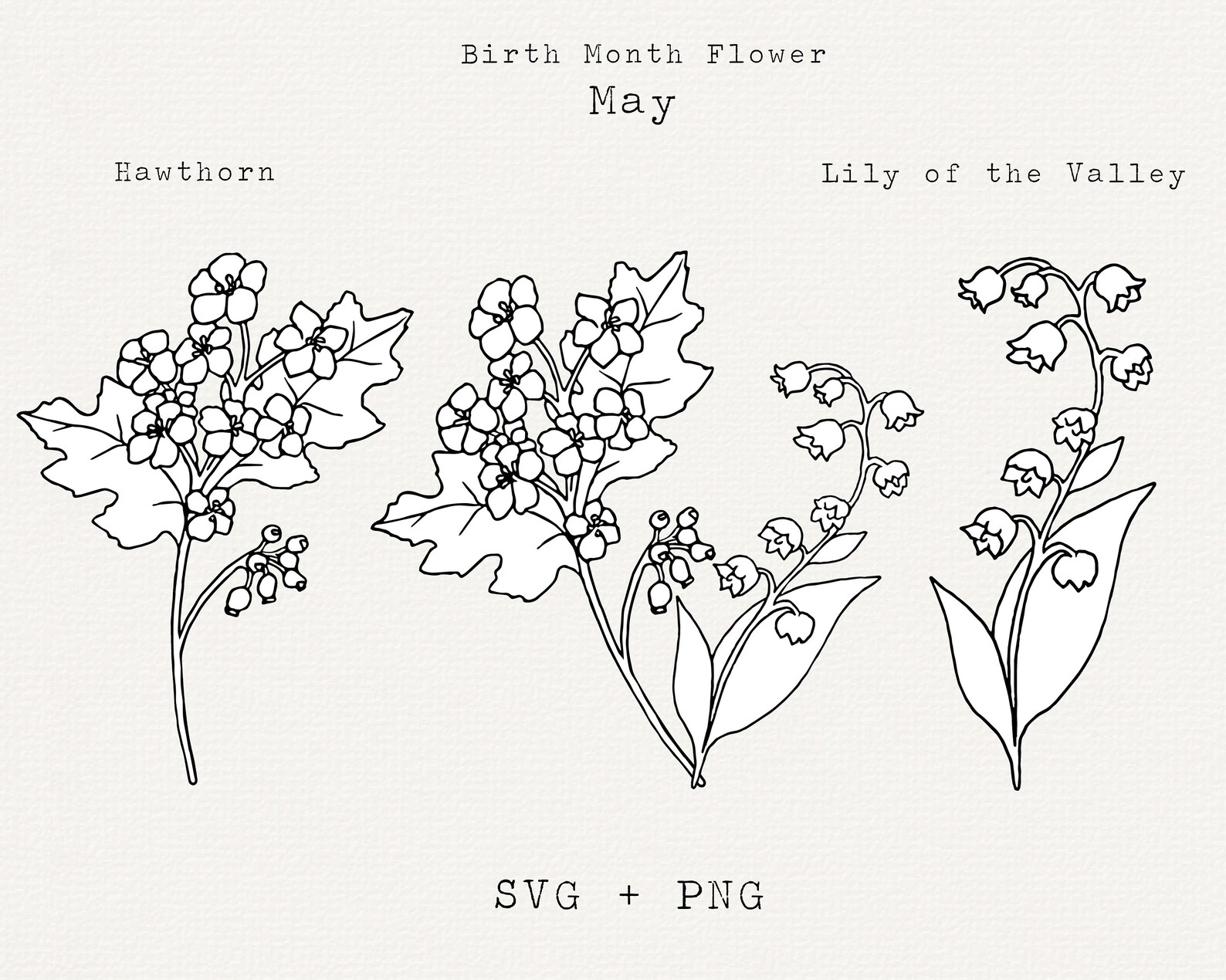 Lily of the Valley SVG Hawthorn SVG May Birth Month Flowers - Etsy