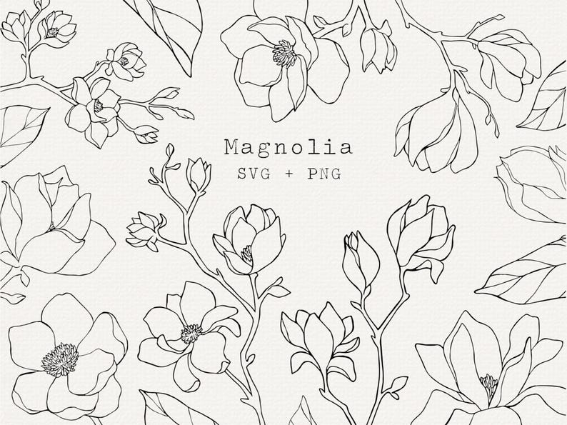 Magnolia SVG, Magnolia Line Art Clip Art, Cricut Cut File, Simple ...