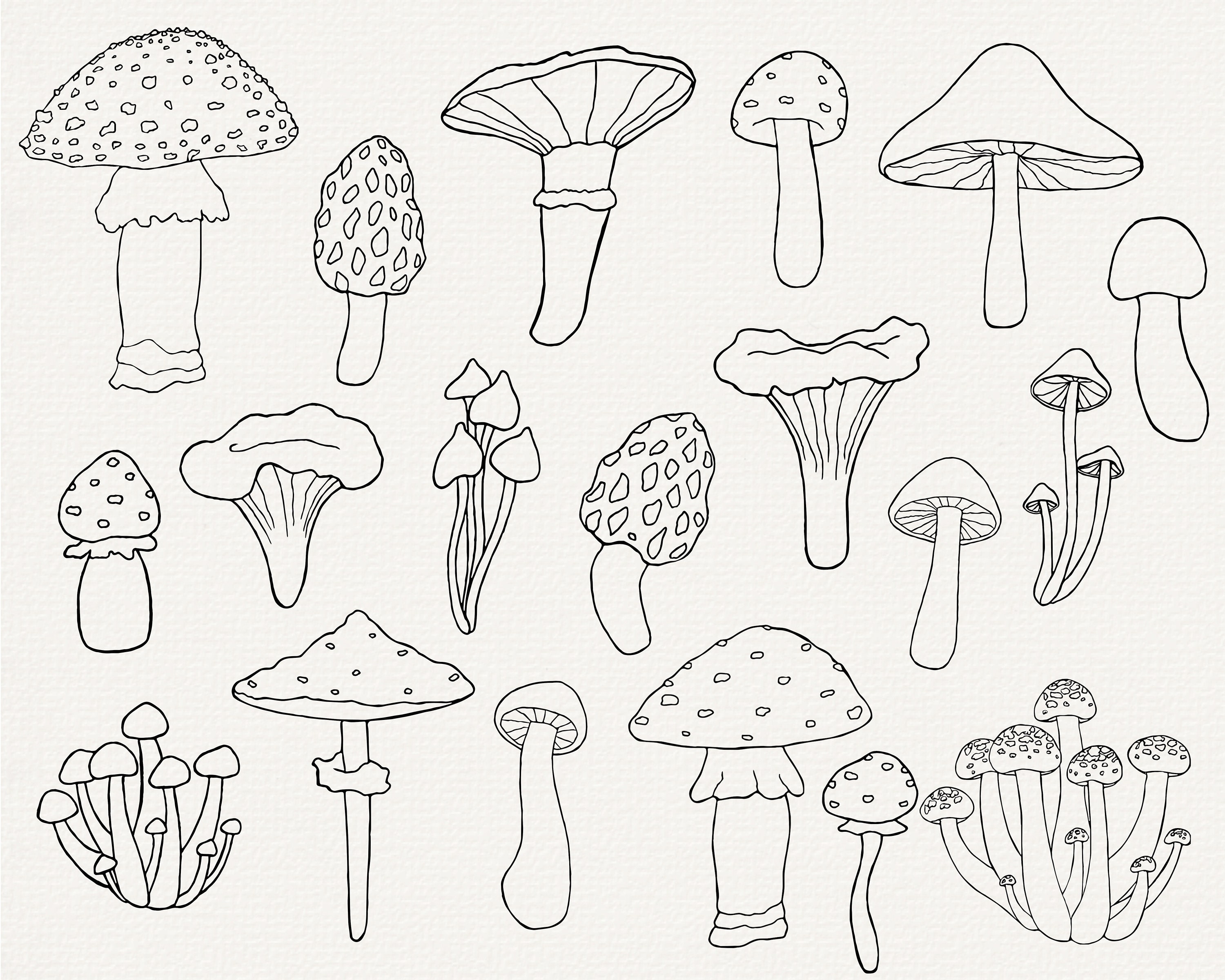Mushroom Line Art SVG, Simple Fungi Clipart, Botanical Illustration ...