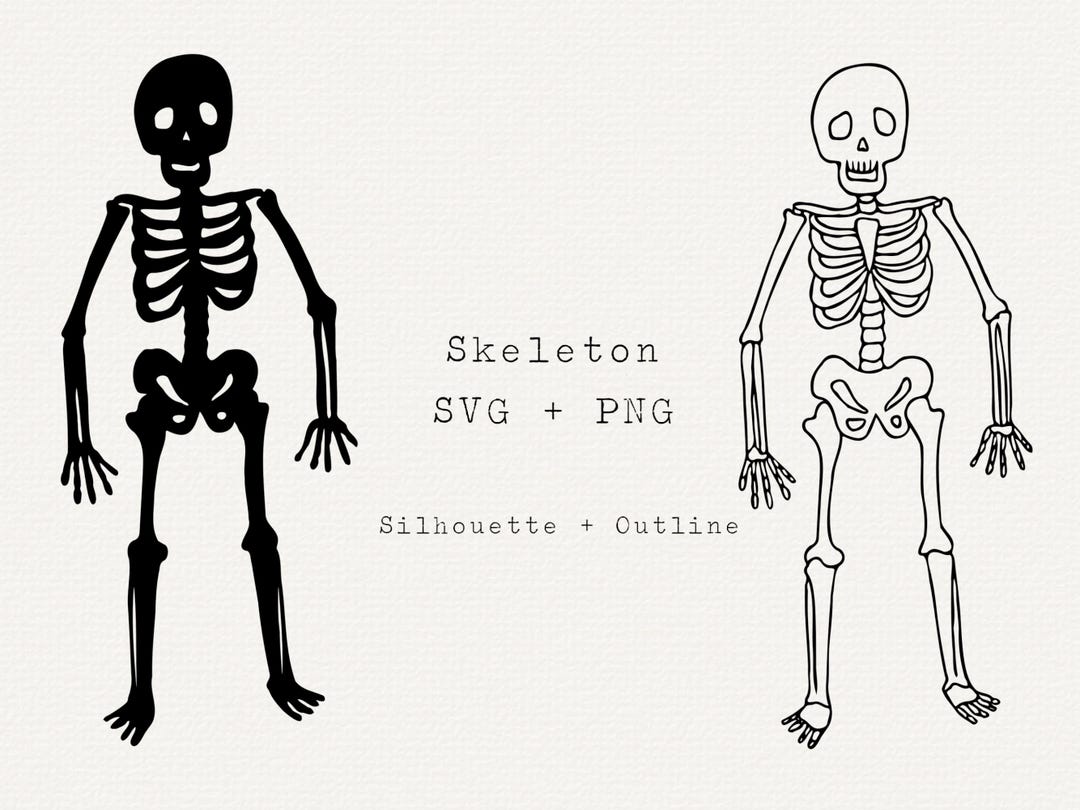 Skeleton SVG, PNG, Silhouette & Outline Clipart - Halloween Vector ...