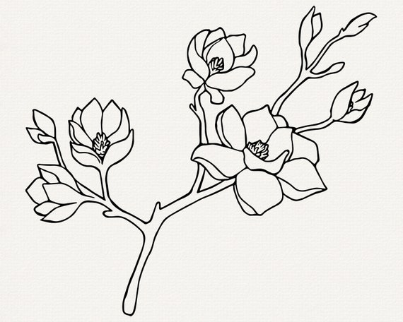Magnolia Flower Outline
