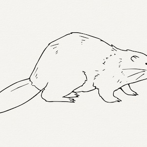 Beaver SVG Bundle, Beaver Illustration for Commercial Use, Cut File for ...