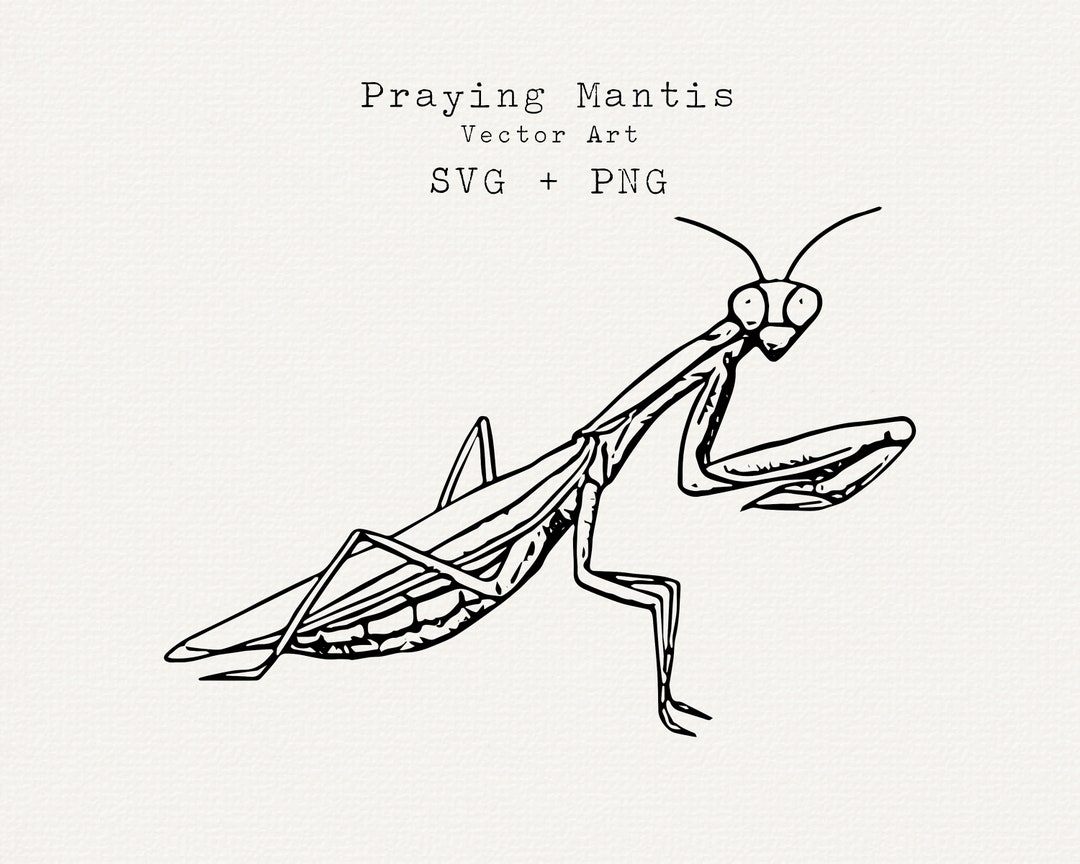 Praying Mantis SVG, Insect SVG, Bug SVG, Hand Drawn Vector Art, Cut ...