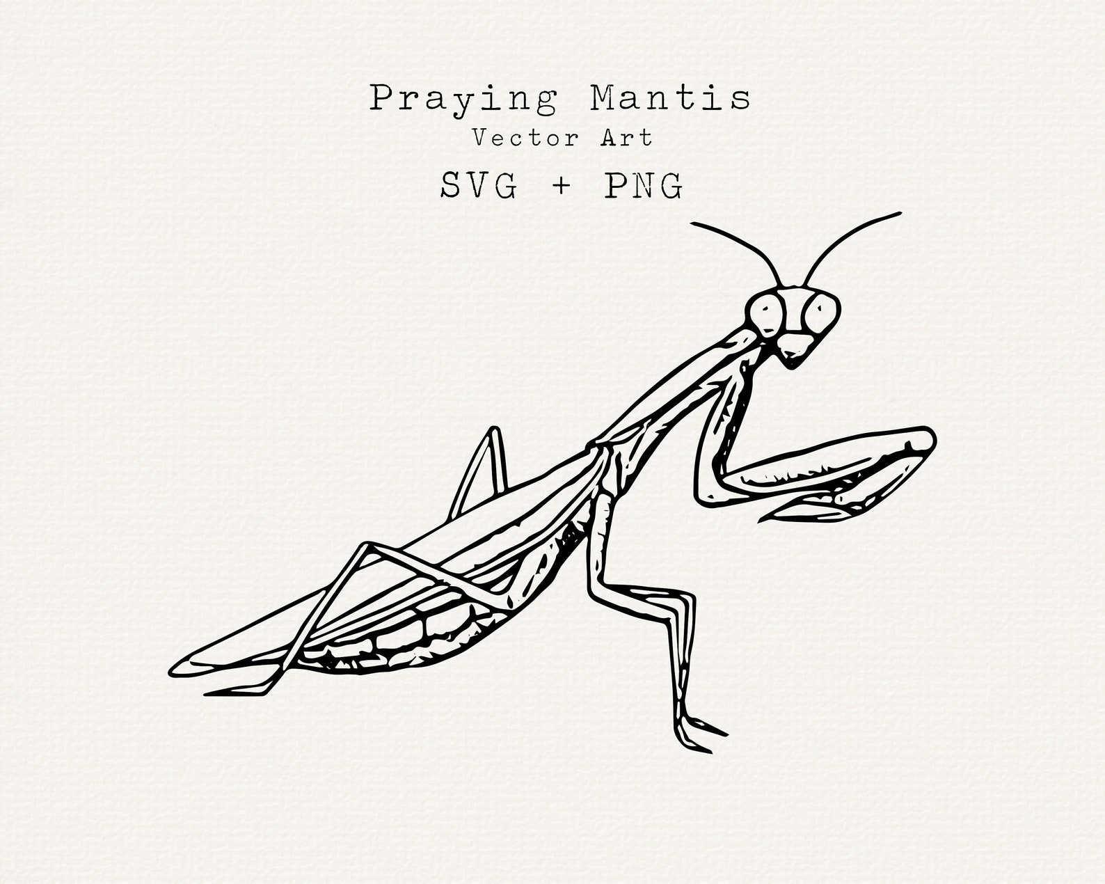 Praying Mantis SVG Insect SVG Bug SVG Hand Drawn Vector | Etsy