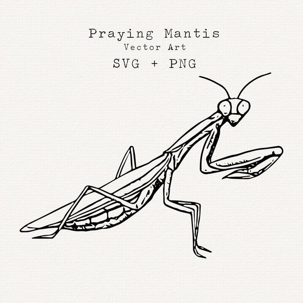 Praying Mantis - Etsy