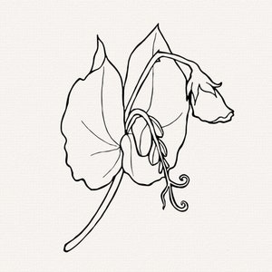 Snap Pea SVG Clip Art, Sweet Pea Illustration for Commercial Use ...