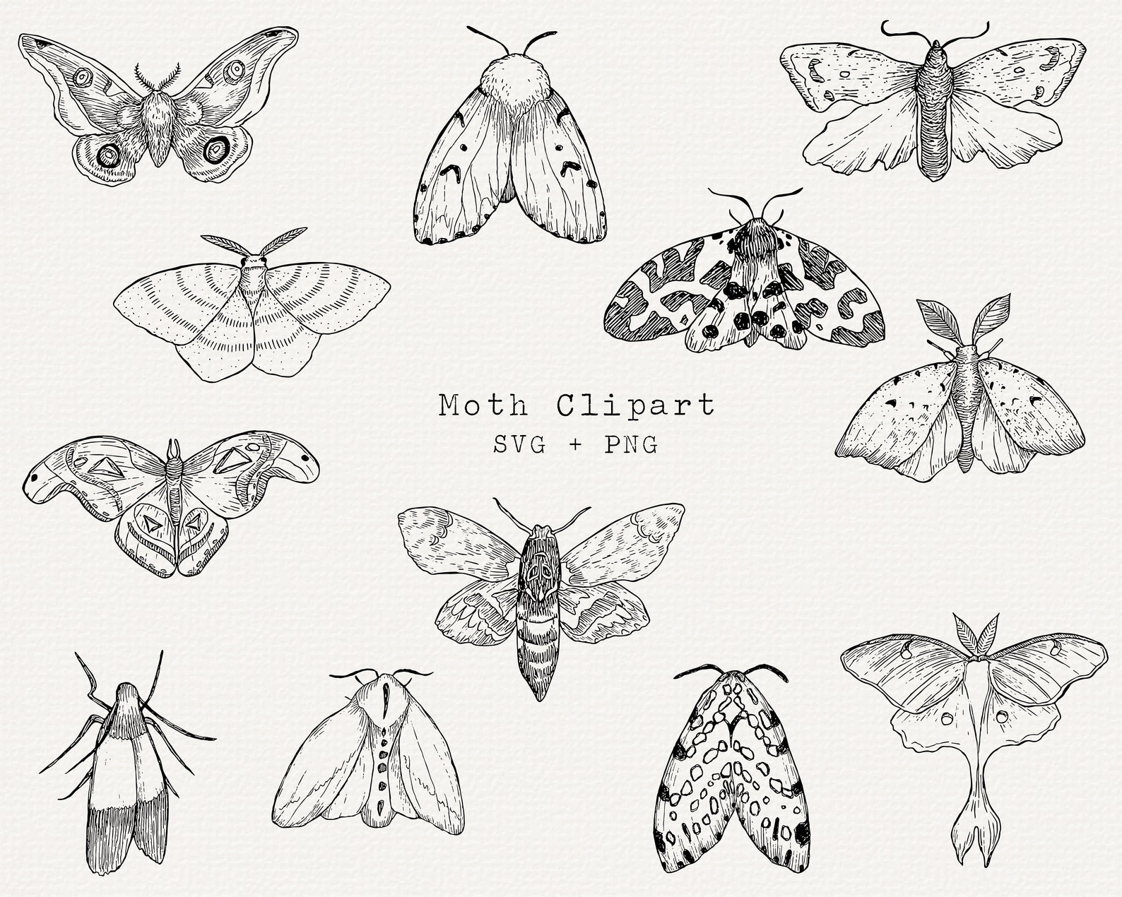 Moth SVG Moths Clipart Moth SVG Bundle Moth Line Drawing | Etsy