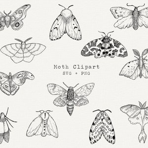 Moth SVG, Moths Clipart, Moth SVG Bundle, Moth Line Drawing, Cut File ...