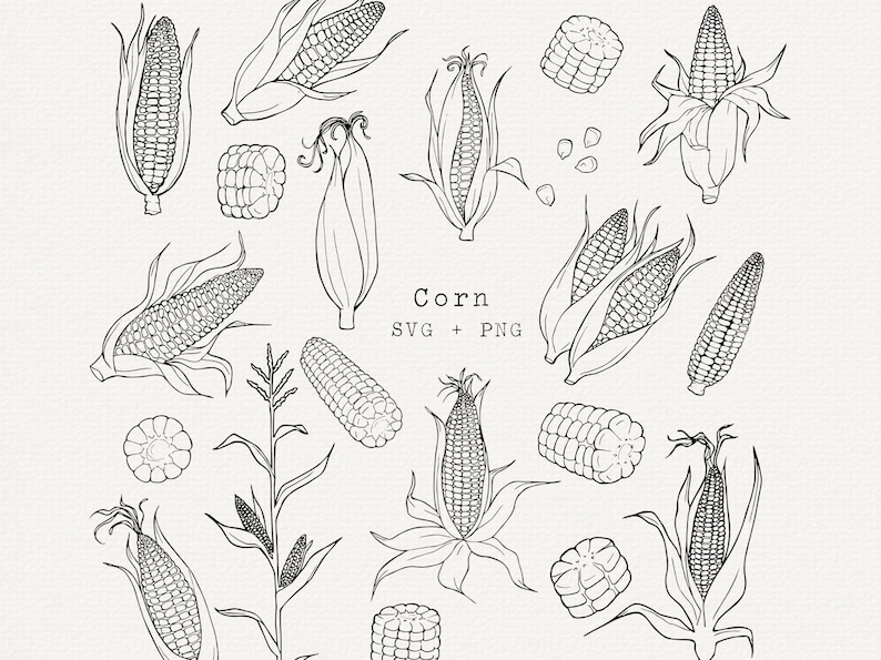 Corn SVG Clip Art, Hand-drawn Line Art Vector Illustration for ...