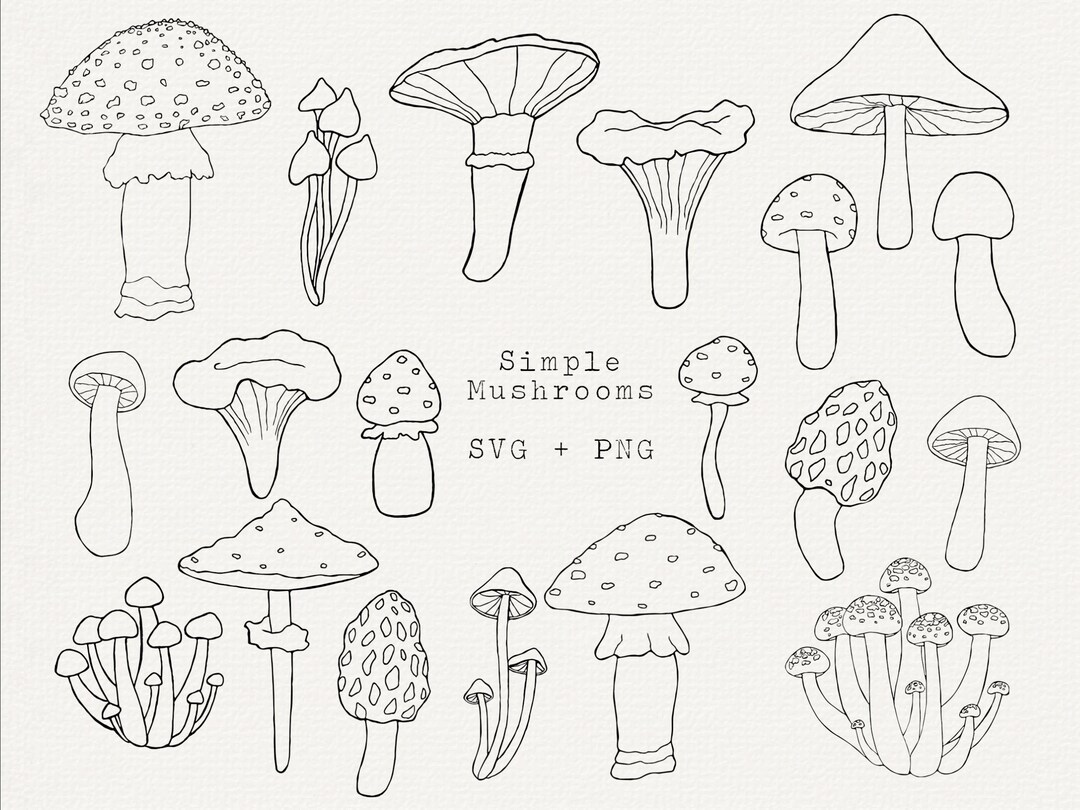 Mushroom Line Art SVG, Simple Fungi Clipart, Botanical Illustration ...