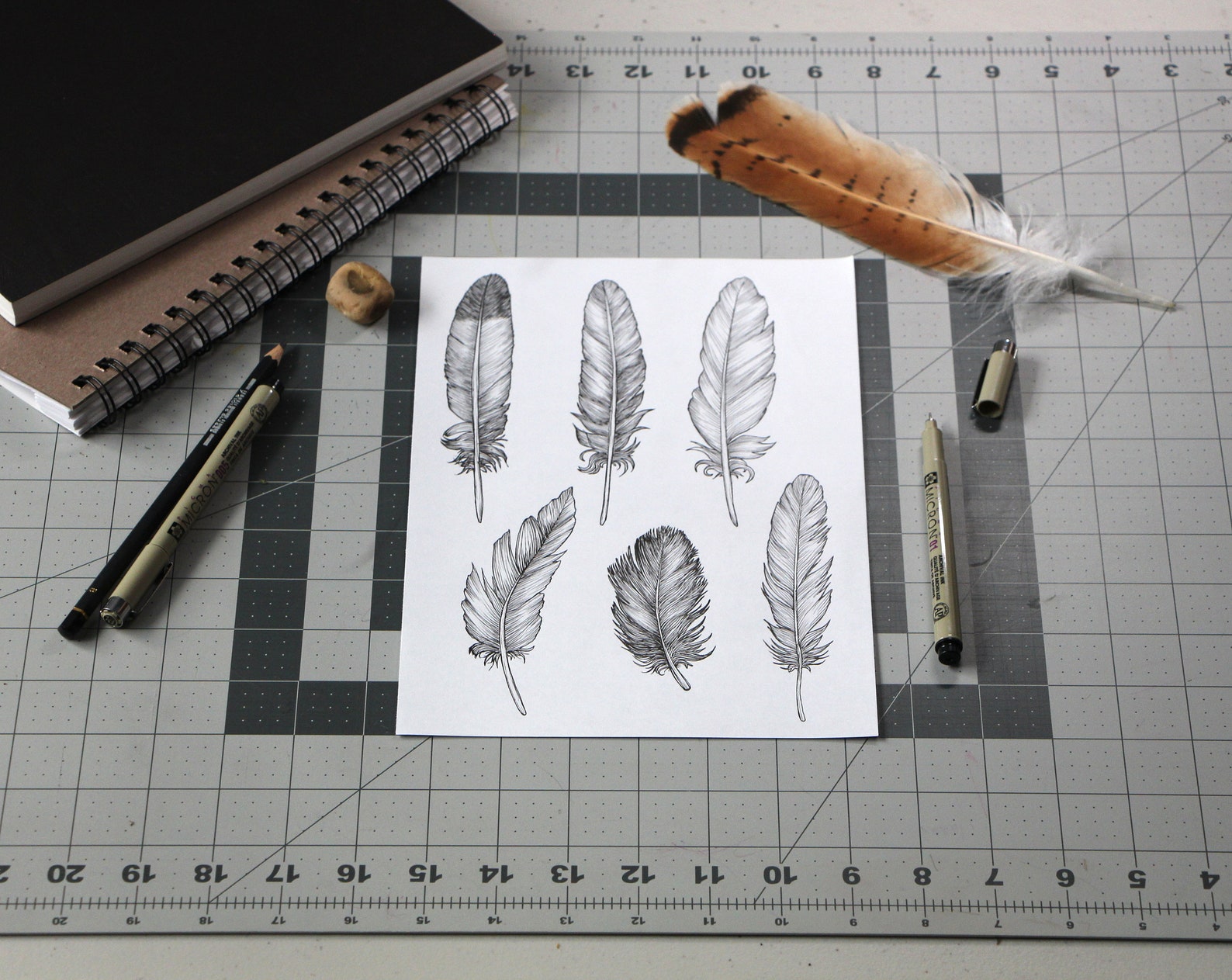 Feather Clip Art Detailed Feather Line Art PNG Hand Drawn - Etsy
