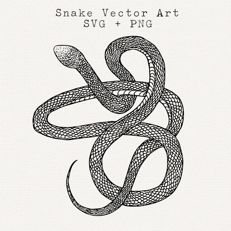 Snake Illustration - Etsy