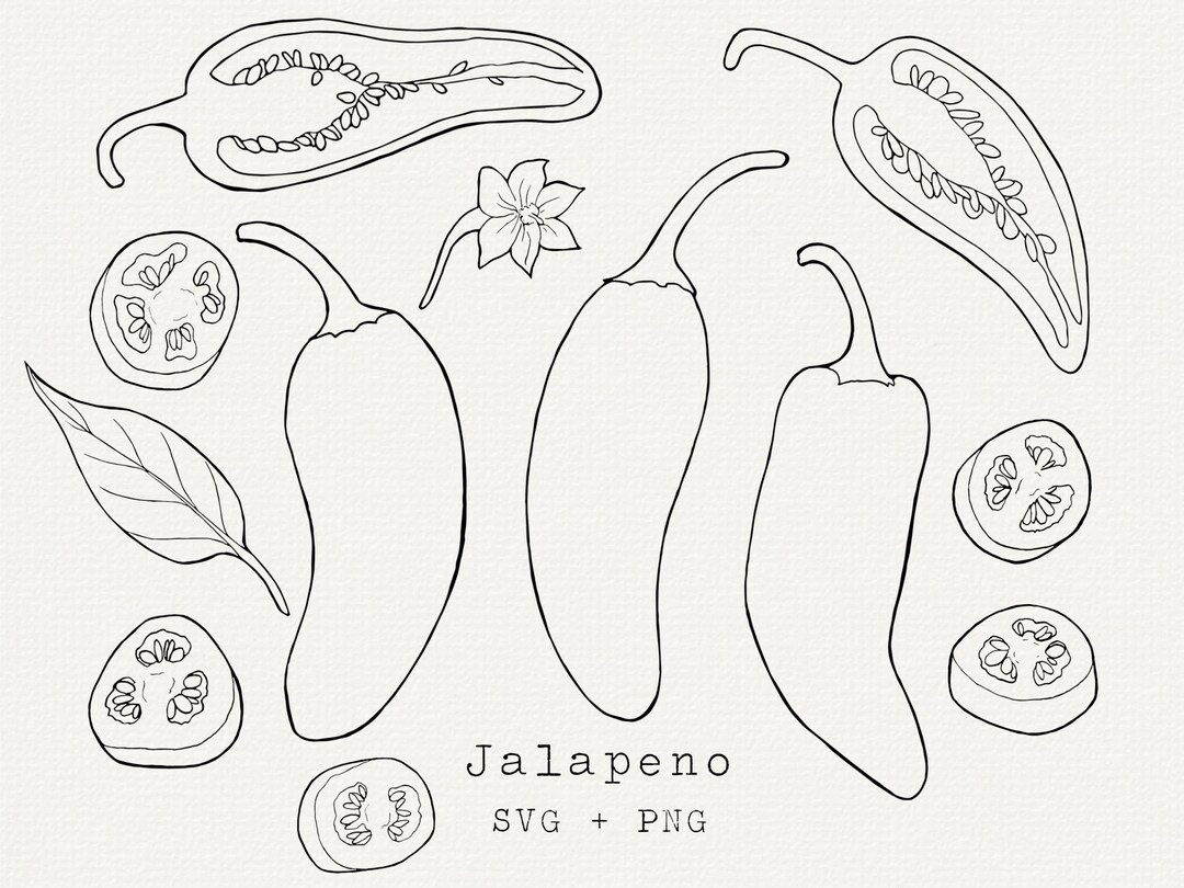 Jalapeno Pepper SVG Bundle, Illustration for Commercial Use, Cut File ...