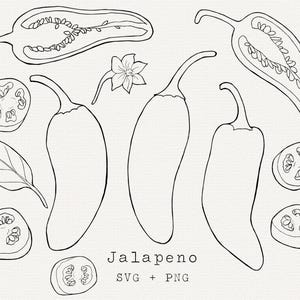 Jalapeno Pepper SVG Bundle, Illustration for Commercial Use, Cut File ...
