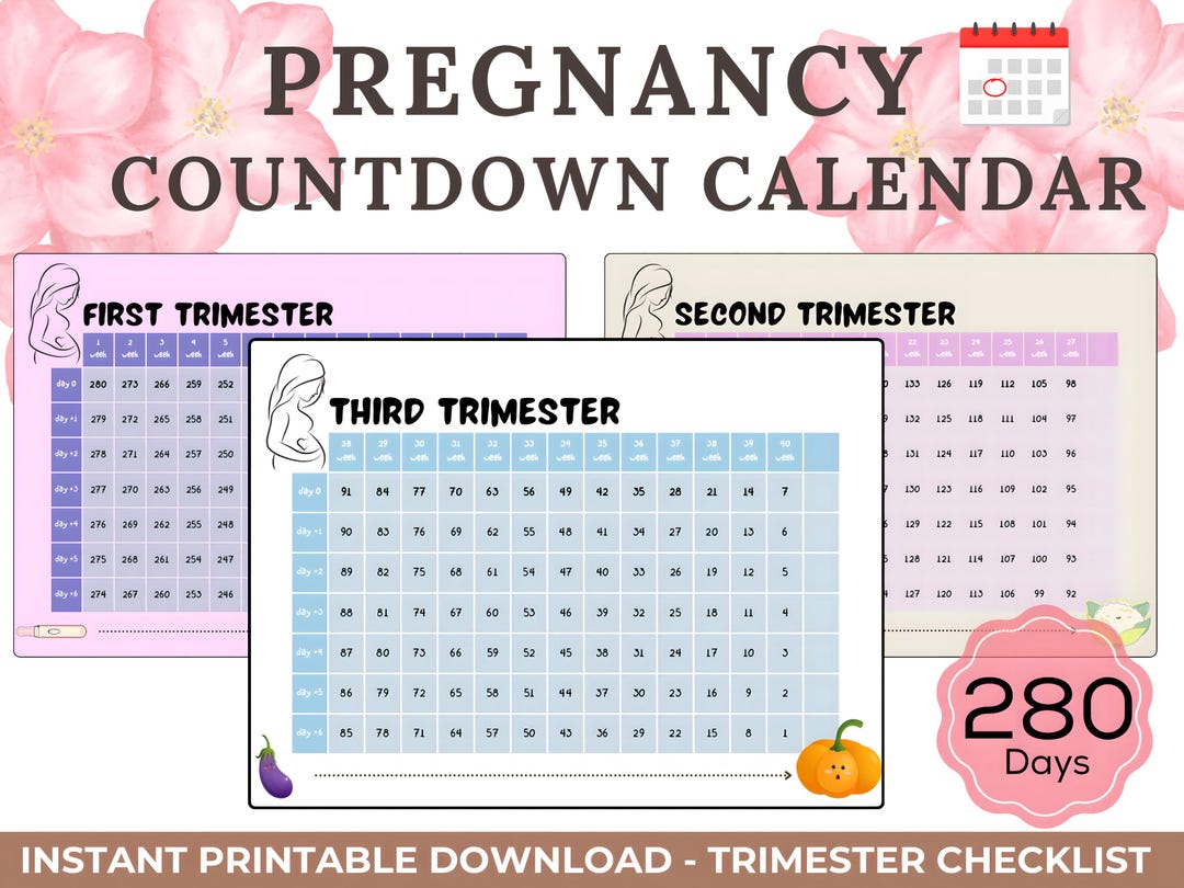 Pregnancy Countdown Calendar 2026, One- Third Trimester Checklist, First Time Mom Gift (PDF ...
