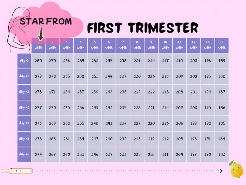 Pregnancy Countdown Calendar 2026, One- Third Trimester Checklist ...