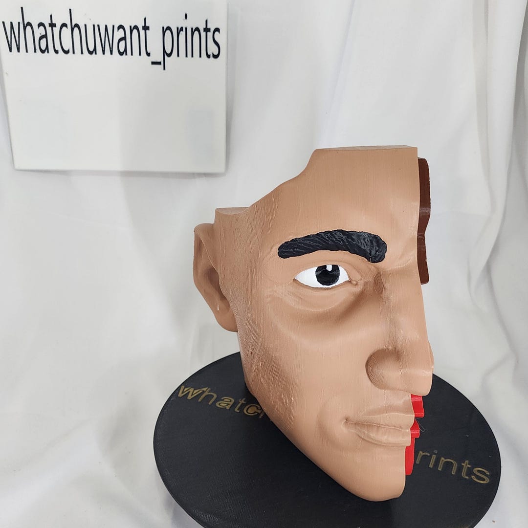 Anatomical Human Face Half - Sinus Anatomy Model - Etsy