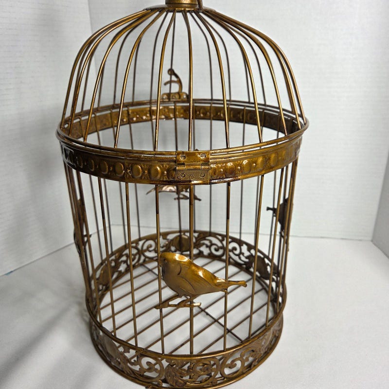 Decorative Bird Cages - Etsy
