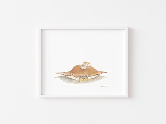 Barnacle Crab Original Watercolor Painting 8 X 10 Inch - Etsy