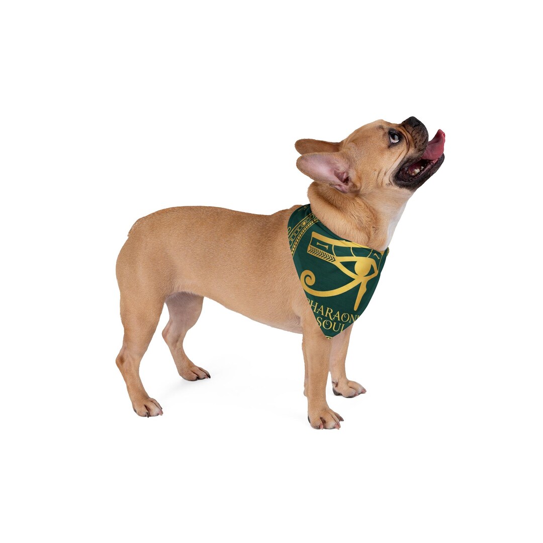 Eye of Horus Dog Bandana | Egyptian Pet Bandana | Gold Black | Ancient ...
