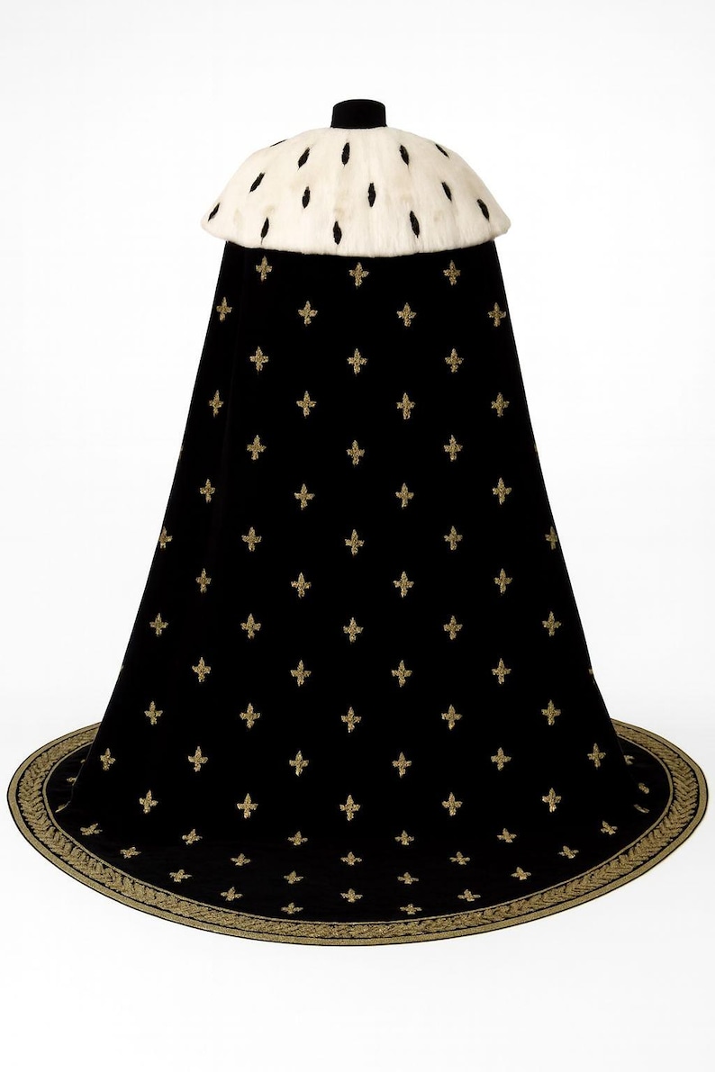 Royal Black Velvet Cloak With Gold Embroidery | Luxury King Cape With ...