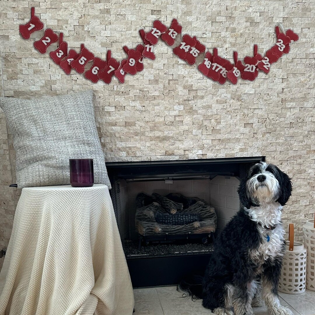 Dog Advent Calendar Bone-shaped Treat Calendar Felt Christmas Countdown ...