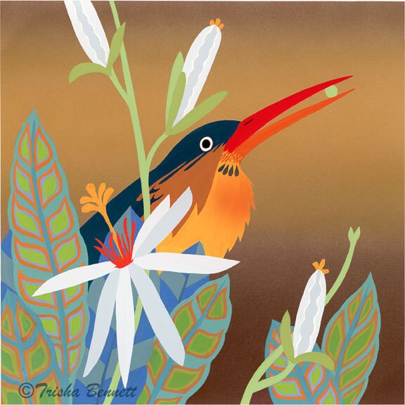 Tropical Bird Print Colorful Wall Art Bird With Berry and - Etsy