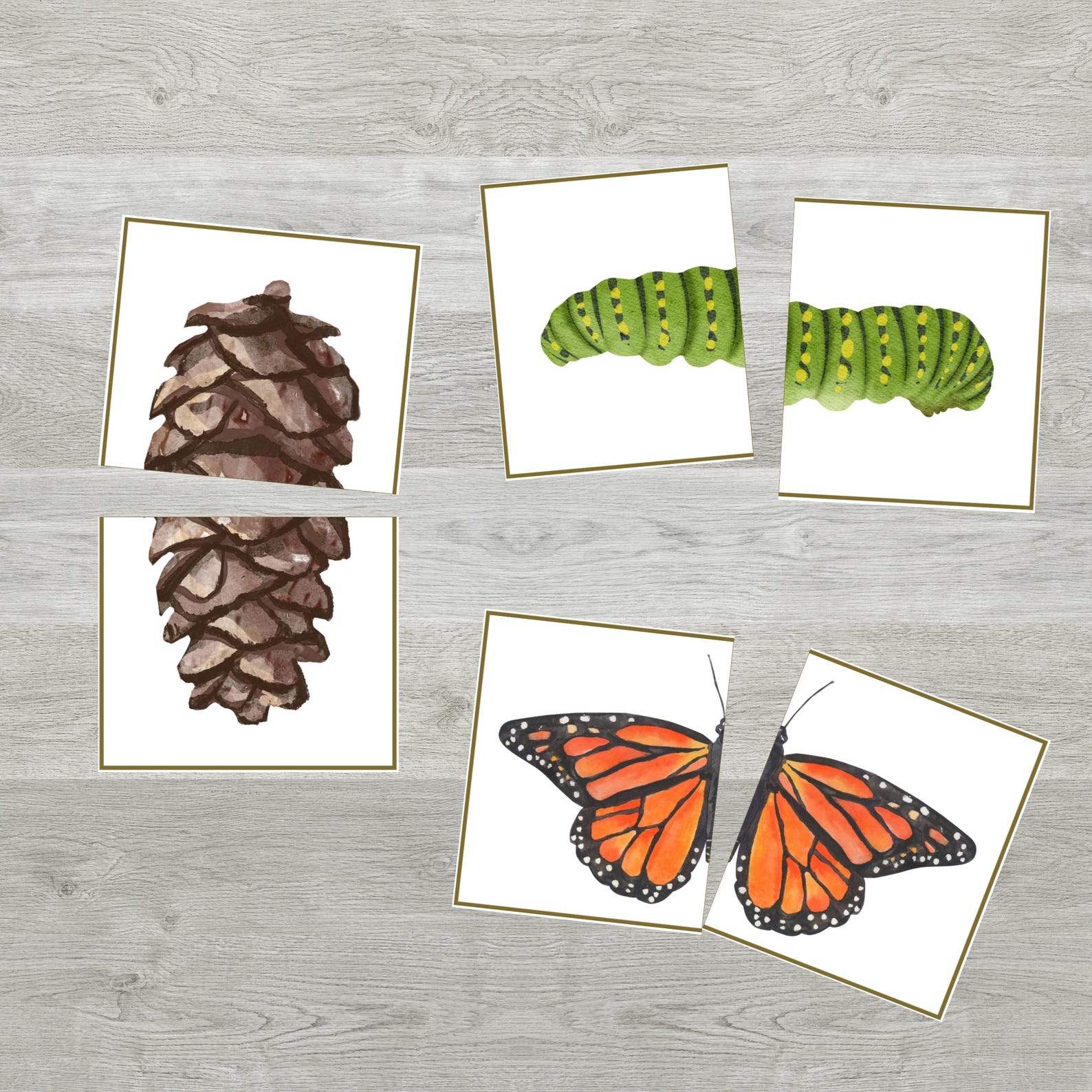 Forest Matching Game for Kids, Montessori Printable Activity, Preschool ...
