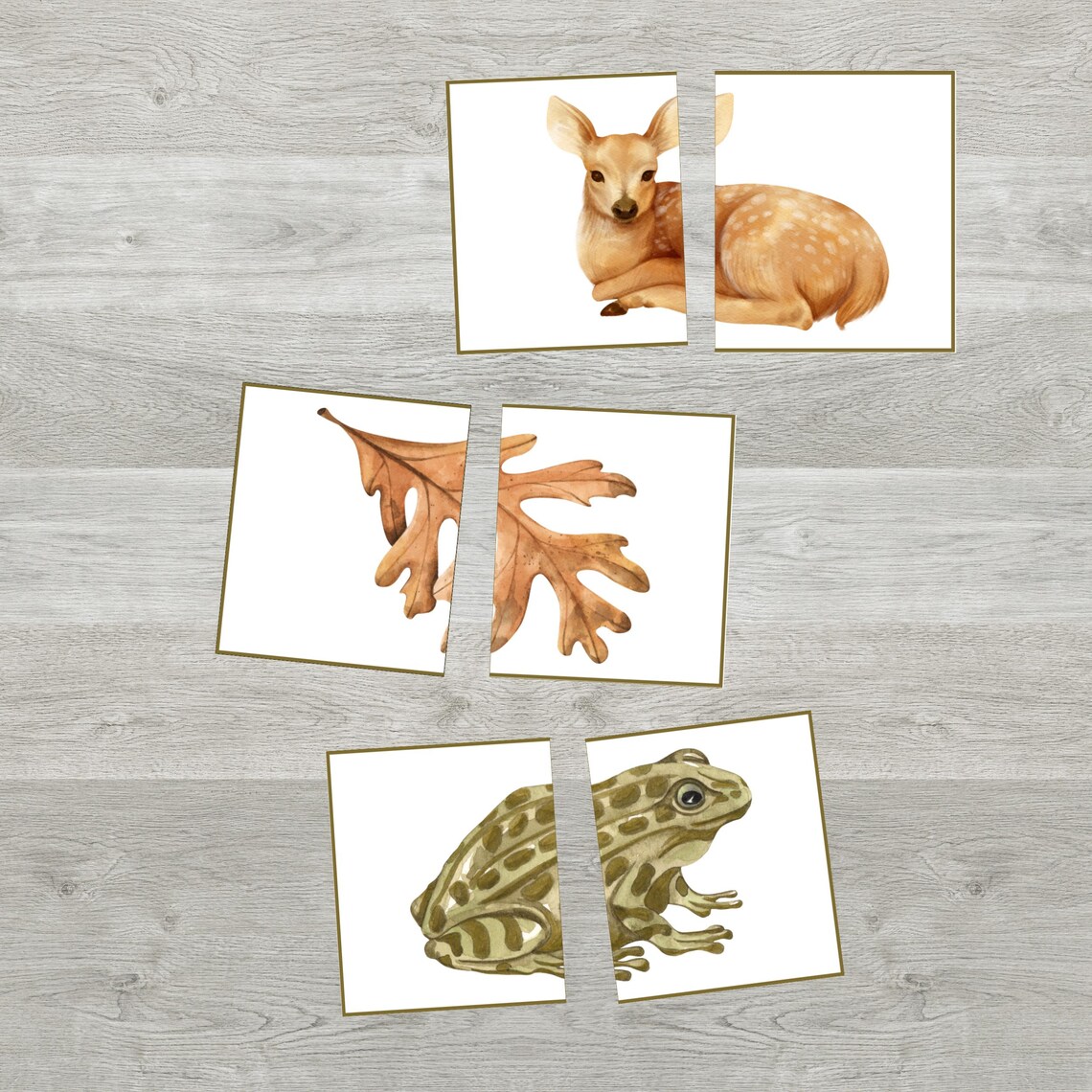 Forest Matching Game for Kids, Montessori Printable Activity, Preschool ...