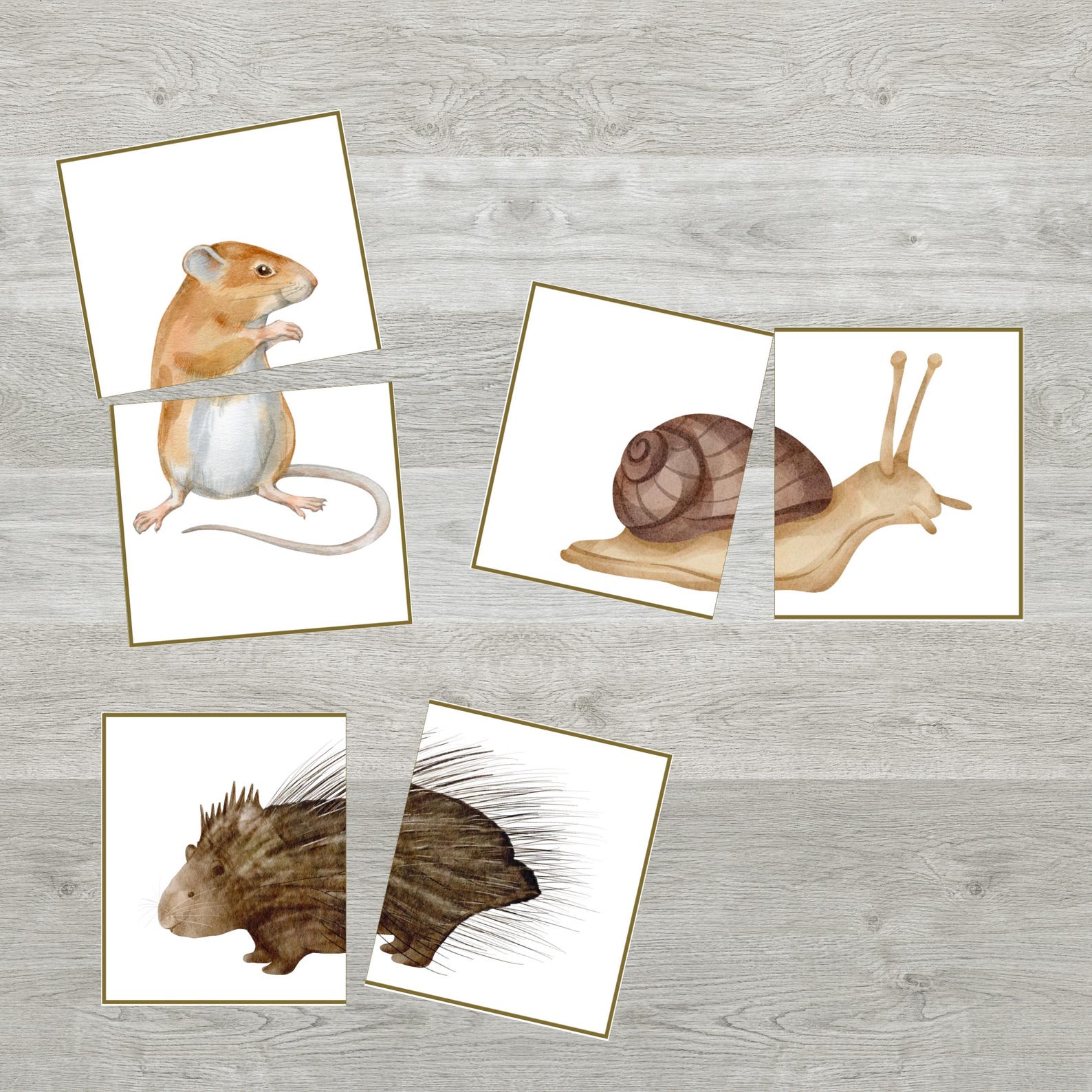 Forest Matching Game for Kids, Montessori Printable Activity, Preschool ...