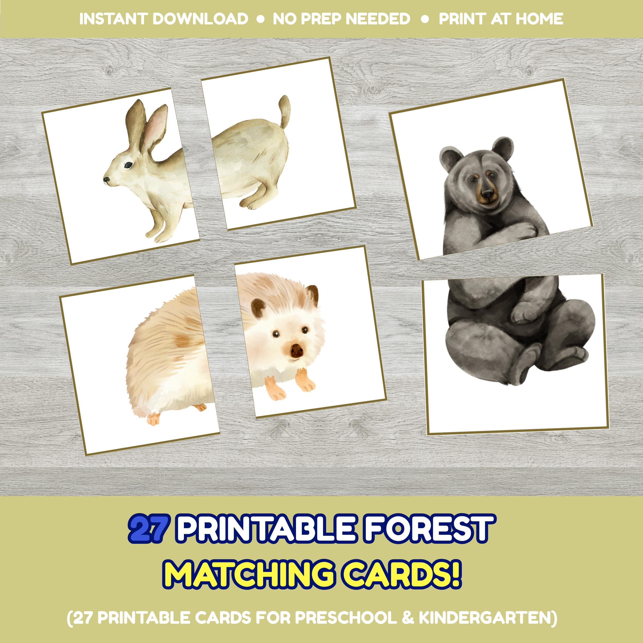 Forest Matching Game for Kids, Montessori Printable Activity, Preschool ...