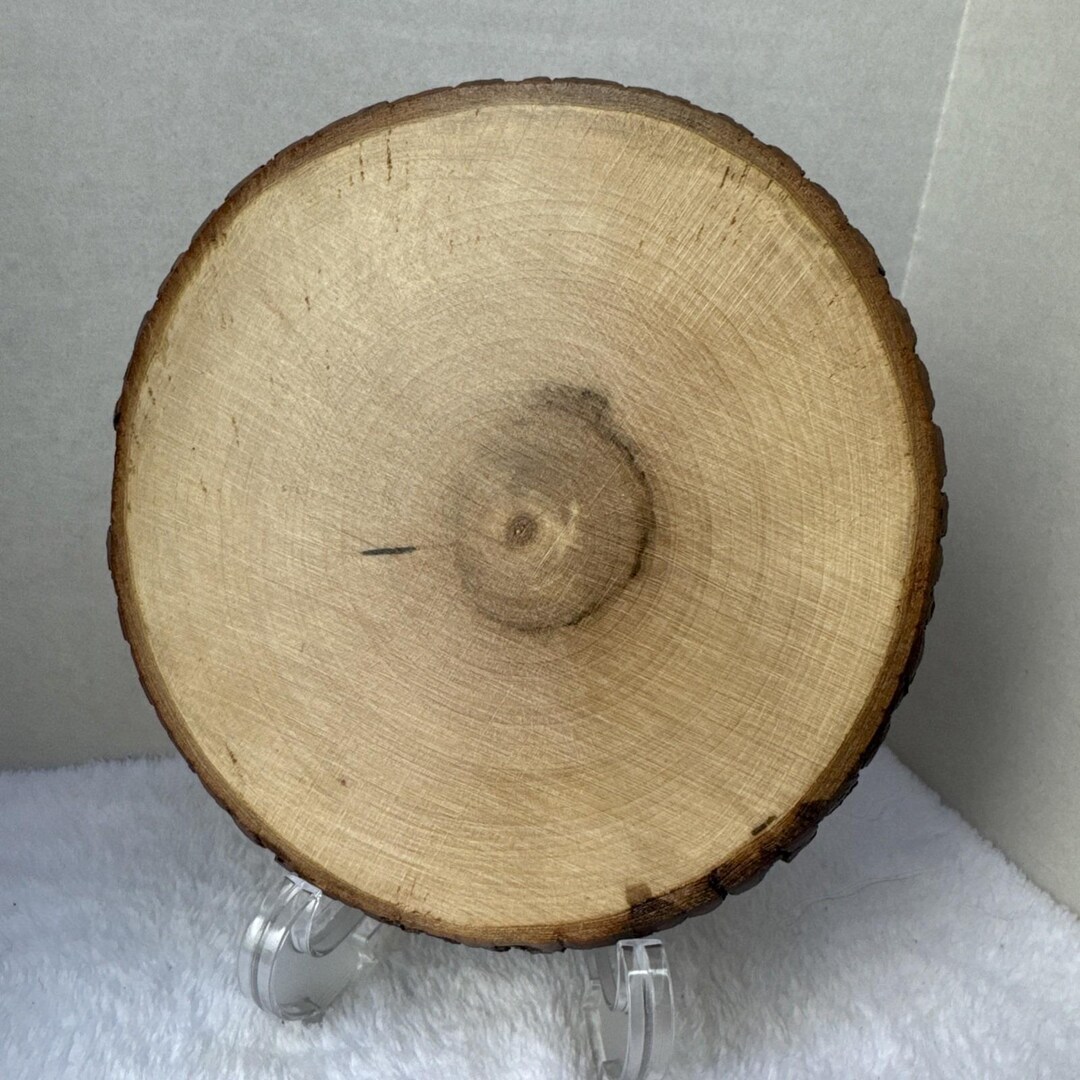Live Edge Tree Trunk Wood Slab Slice Unfinished - Etsy