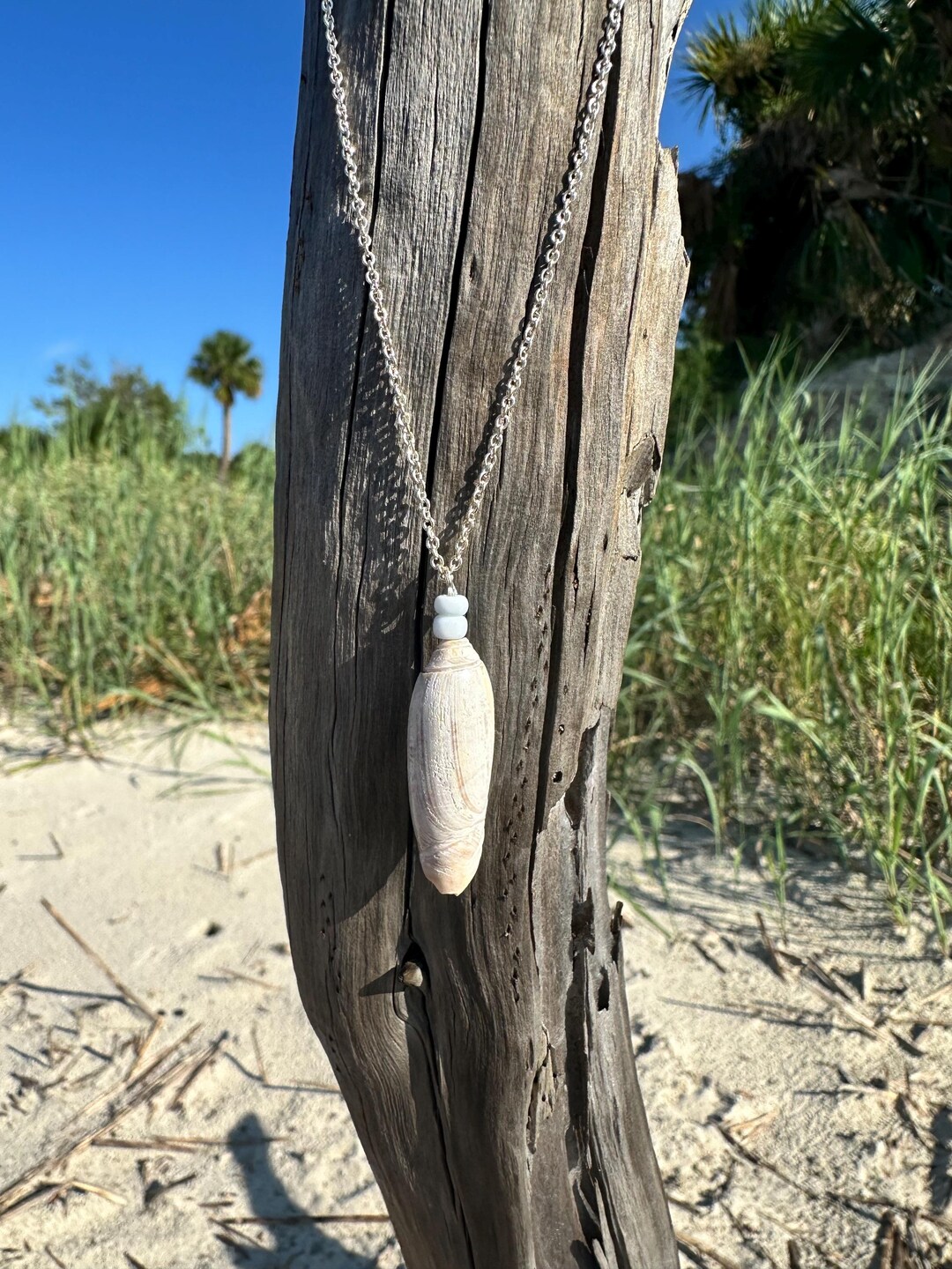 Olive Shell Silver Necklace - Etsy